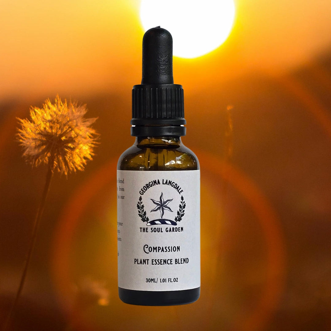 Compassion Essence Blend – ARCHEUS | NatFem Botanics