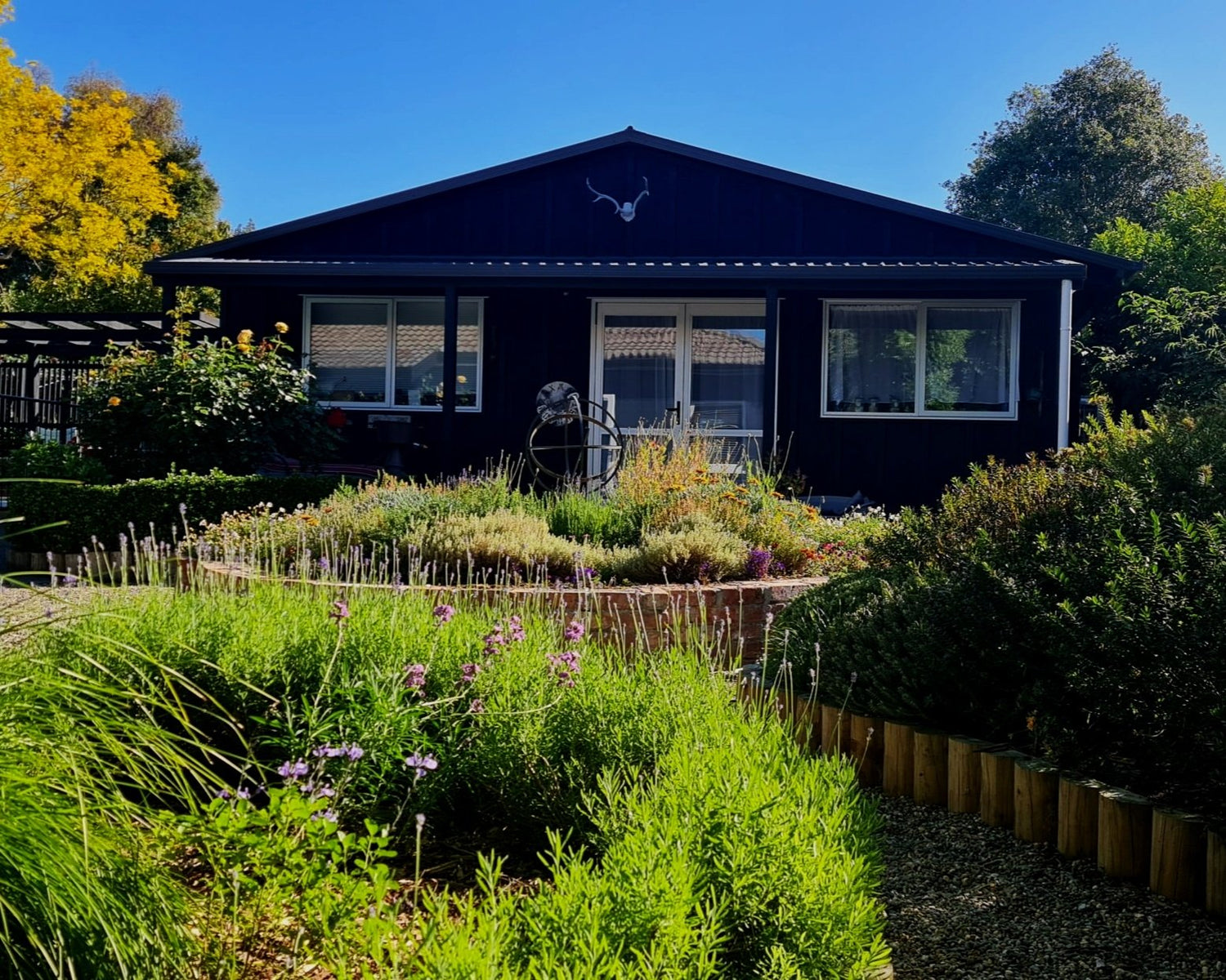 About Us – Archeus | NatFem Botanics